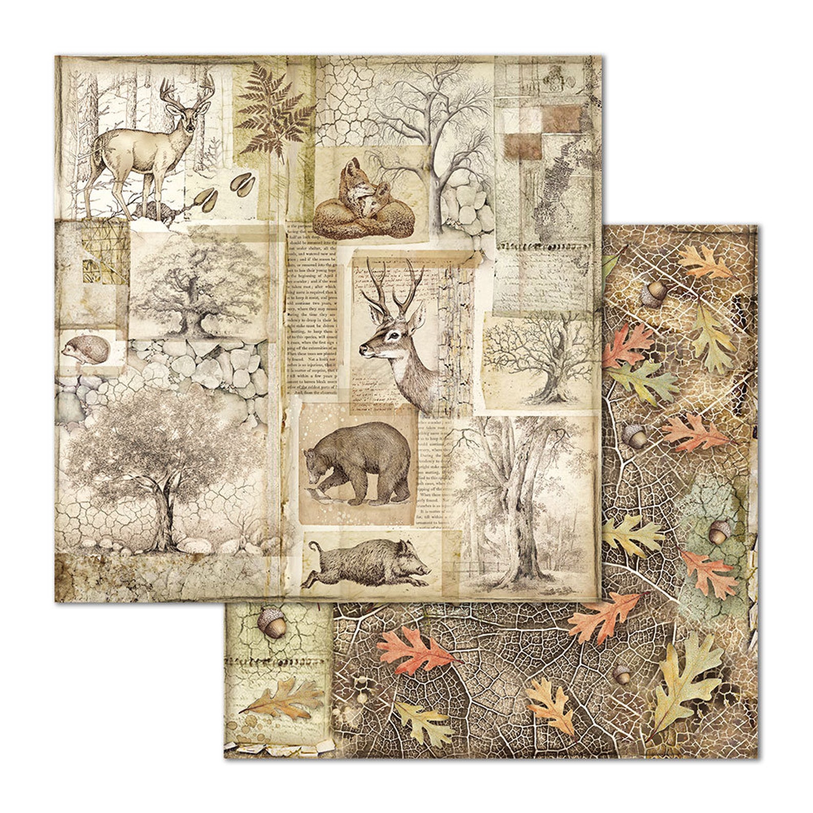 Stamperia Forest Collection 12x12 Scrapbooking Paper Double - Etsy