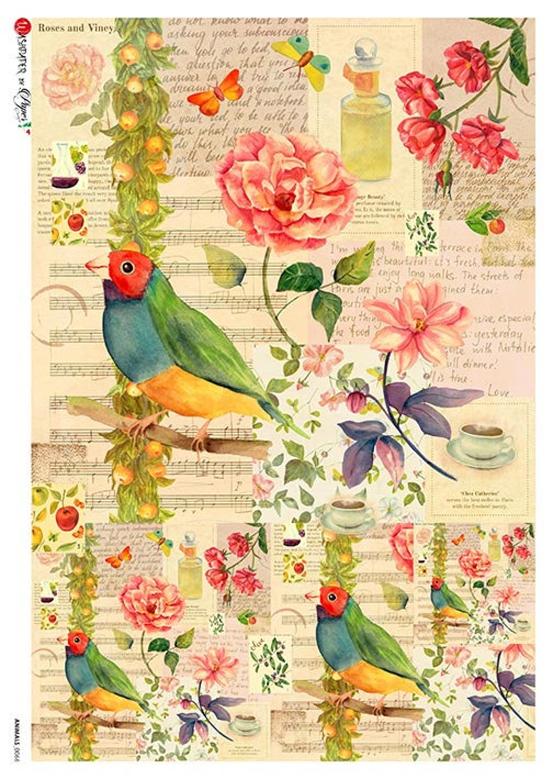 Paper Designs Rice Paper Birds Rice Paper A4 Rice Paper - Etsy