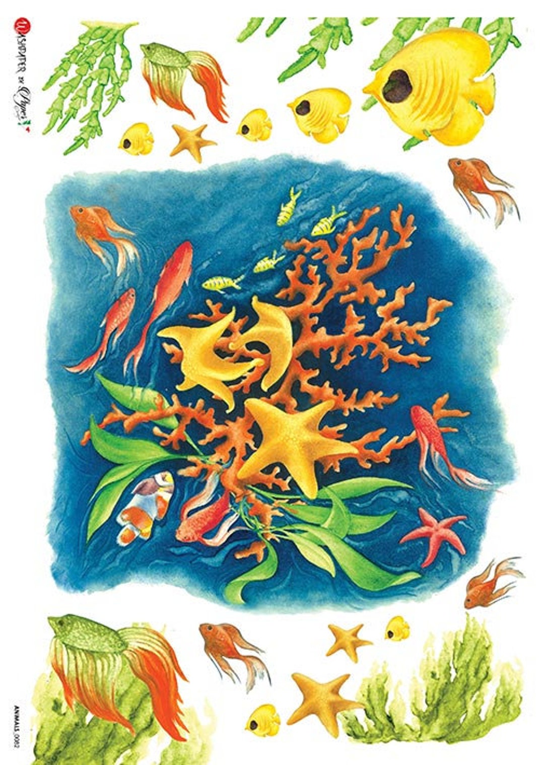 Paper Designs Rice Paper | Fish Sea Life Rice Paper | A4 Rice Paper ...