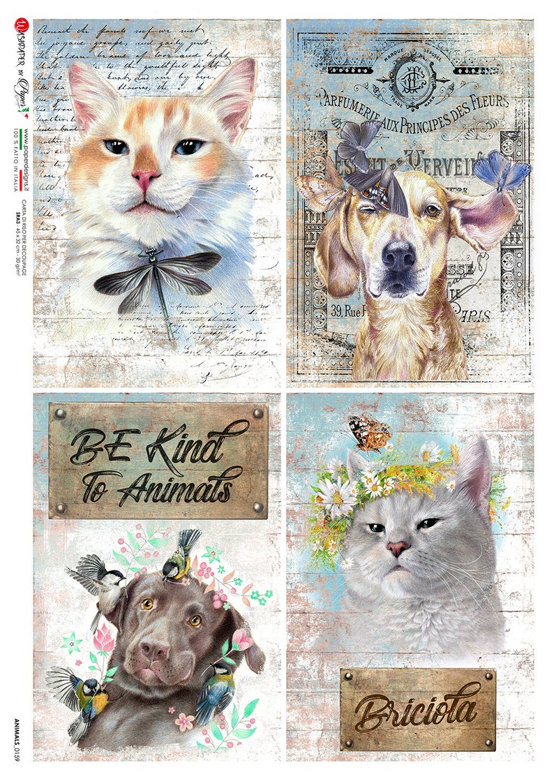 Paper Designs Rice Paper Cats and Dogs Rice Paper A4 Rice - Etsy