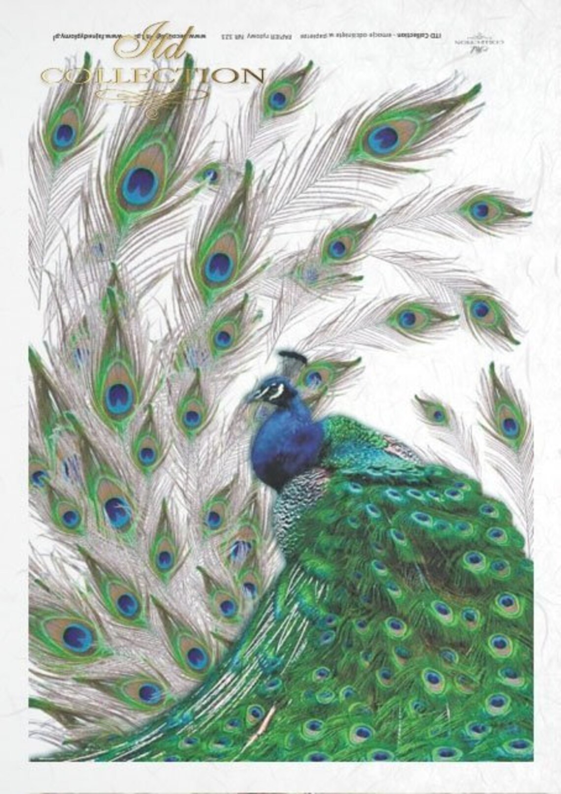 ITD Collection | Peacock Rice Paper | A4 Rice Paper | Peacocks ...