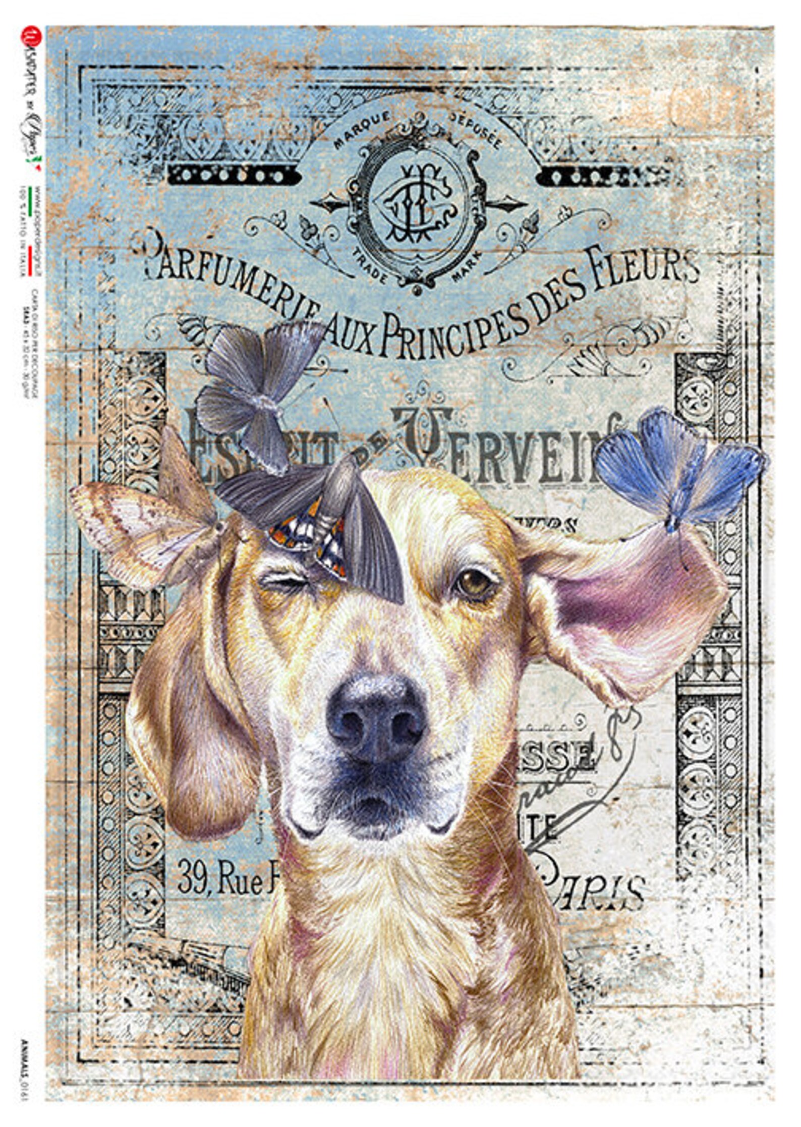 Paper Designs Rice Paper | Dog Rice Paper | A4 Rice Paper | Natural ...