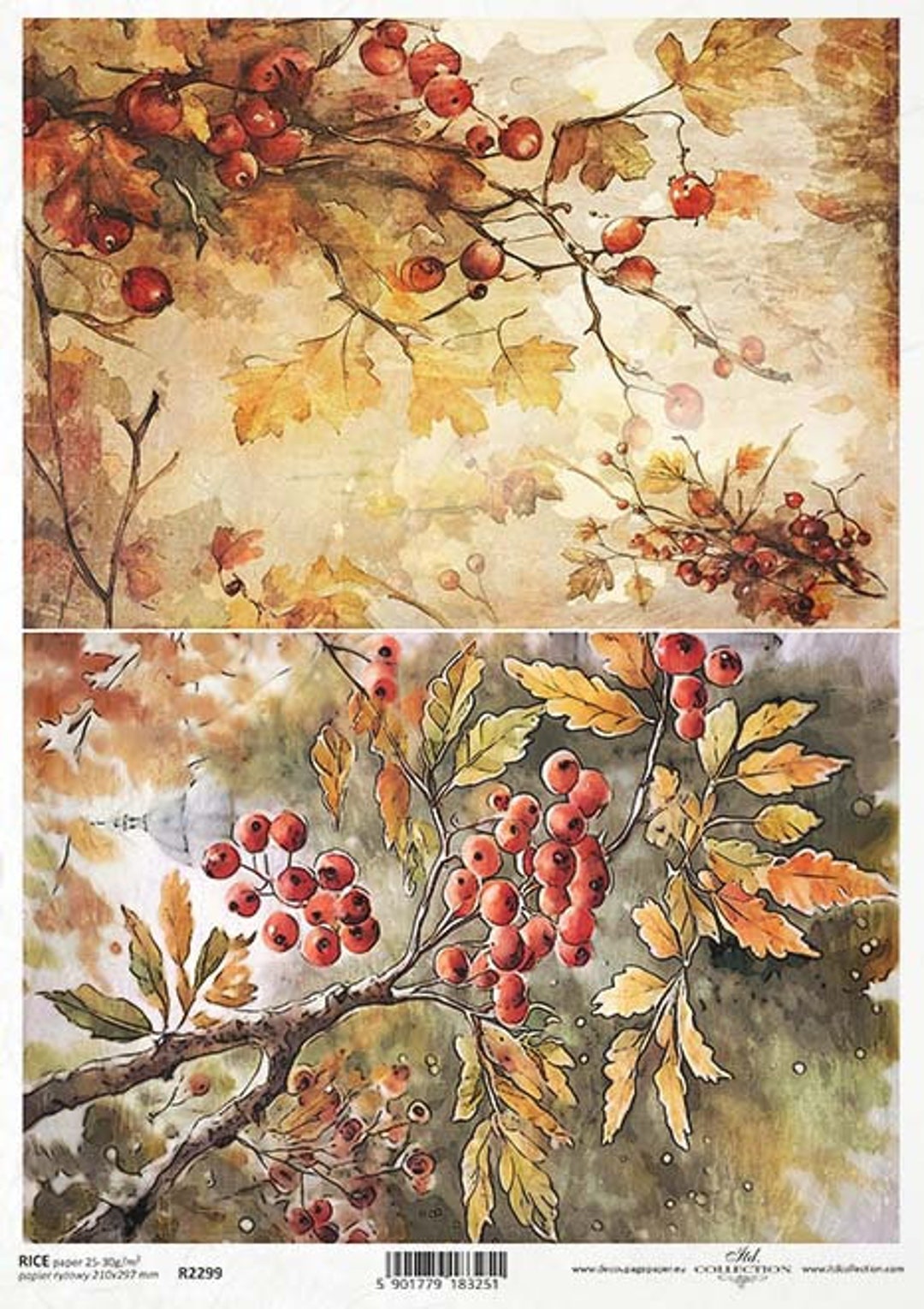ITD Collection | Autumn Leaves L A4 Rice Paper | Decoupage Paper | ITD ...