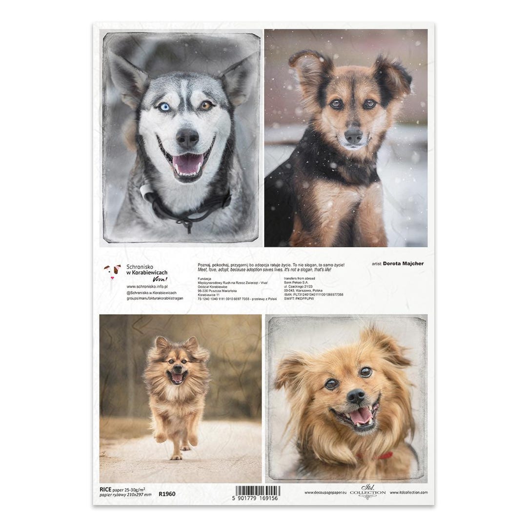 Rescue Puppies and Dogs | ITD Collection | A4 Rice Paper | Decoupage ...