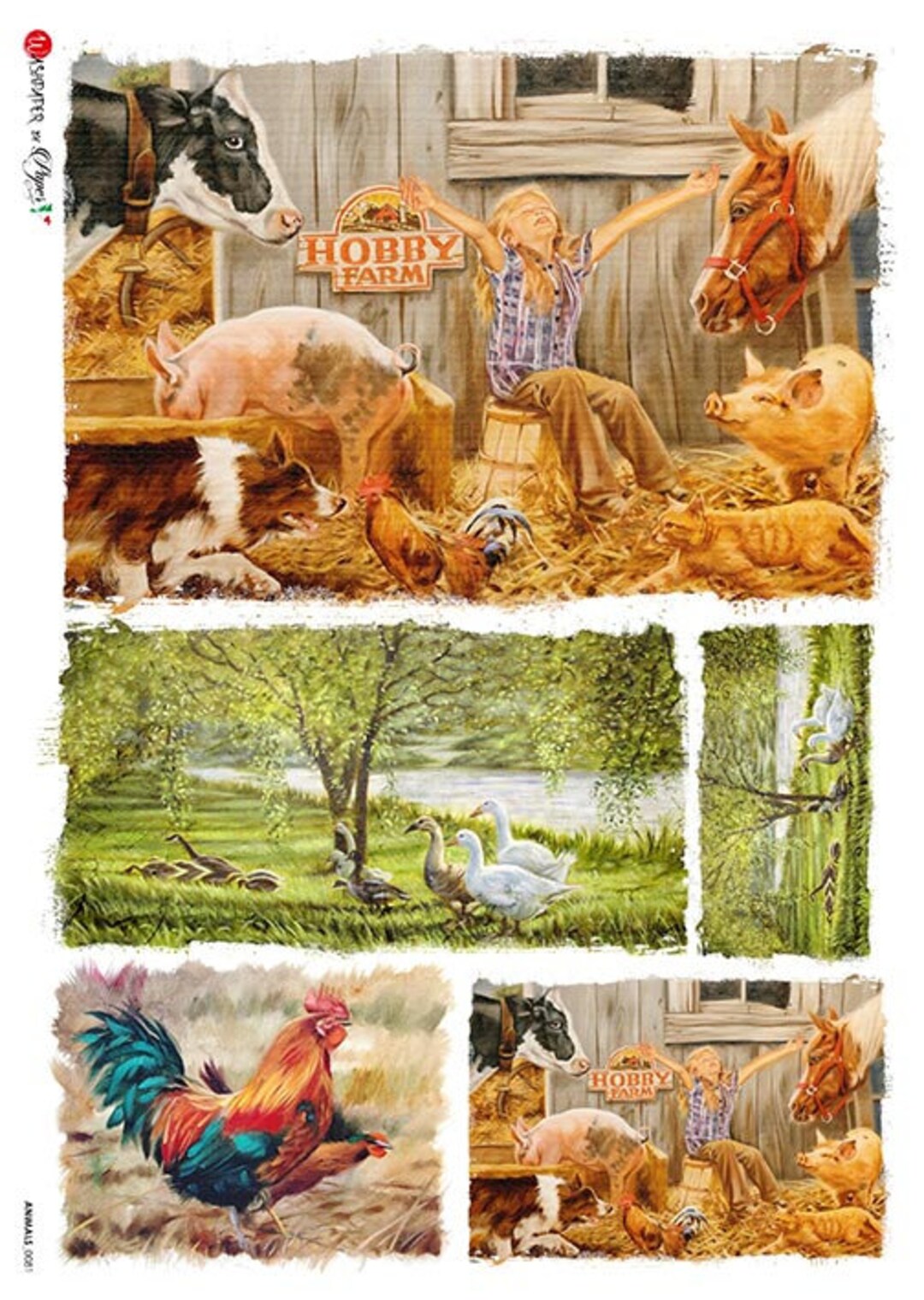 Paper Designs Rice Paper | Farm Animals Rice Paper | A4 Rice Paper ...