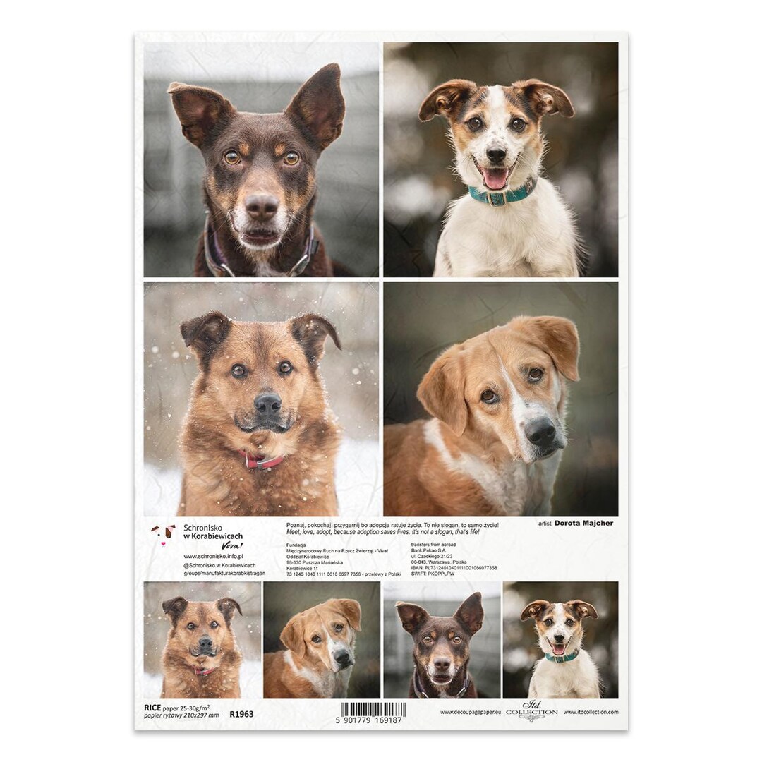 Rescue Puppies and Dogs | ITD Collection | A4 Rice Paper | Decoupage ...