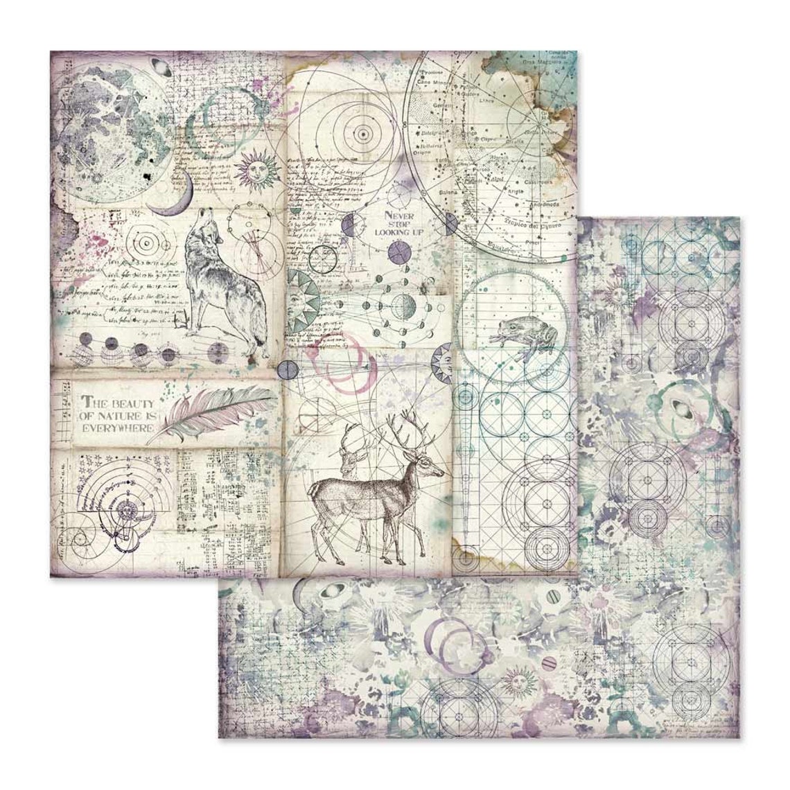 Stamperia Cosmos Collection 8x8 Scrapbooking Paper Double | Etsy