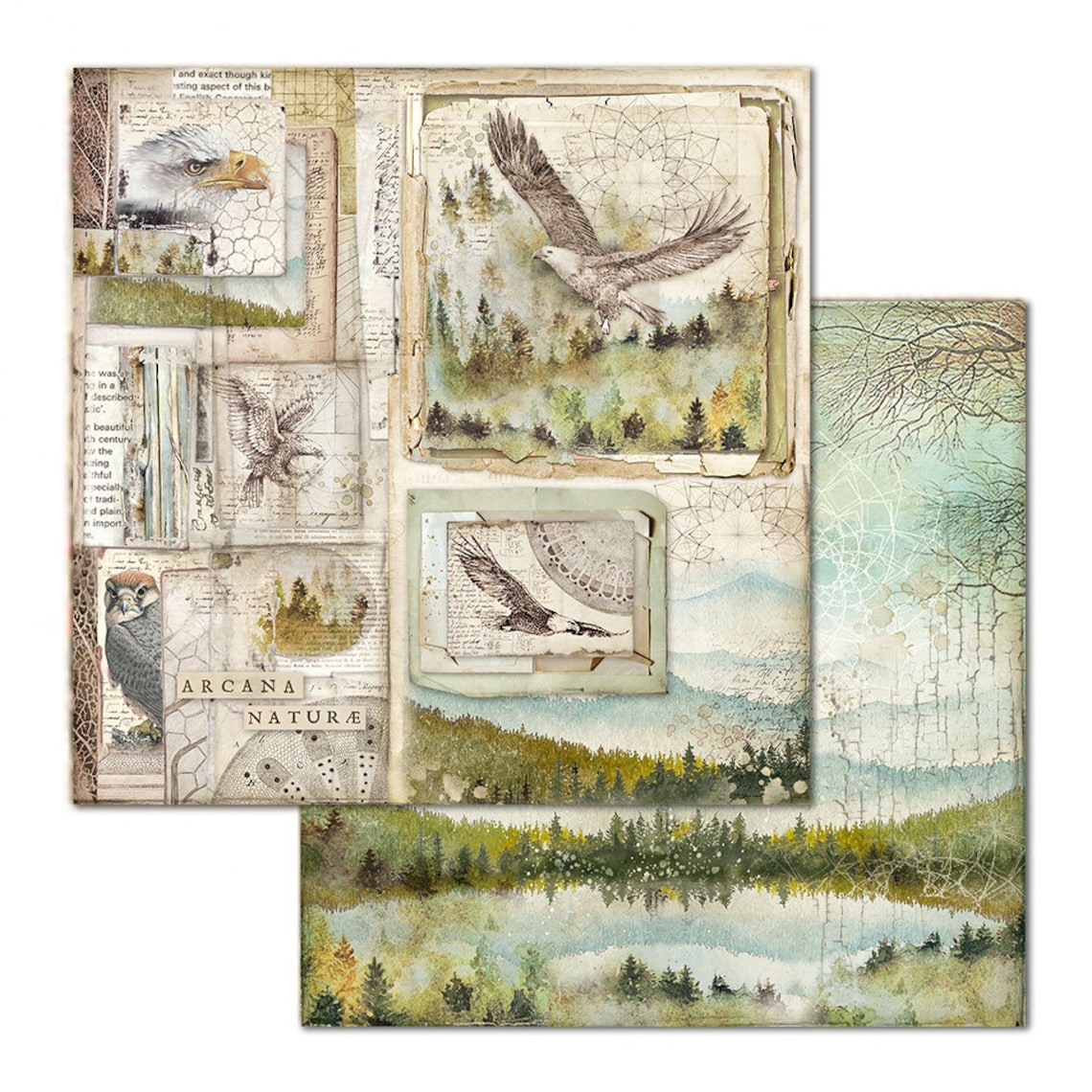 Stamperia Forest Collection 8x8 Scrapbooking Paper Double | Etsy