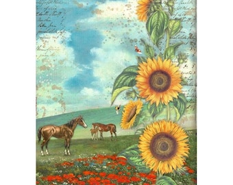 Stamperia Rice Paper Botanic English Roses A4 Rice Paper Decoupage Rice ...