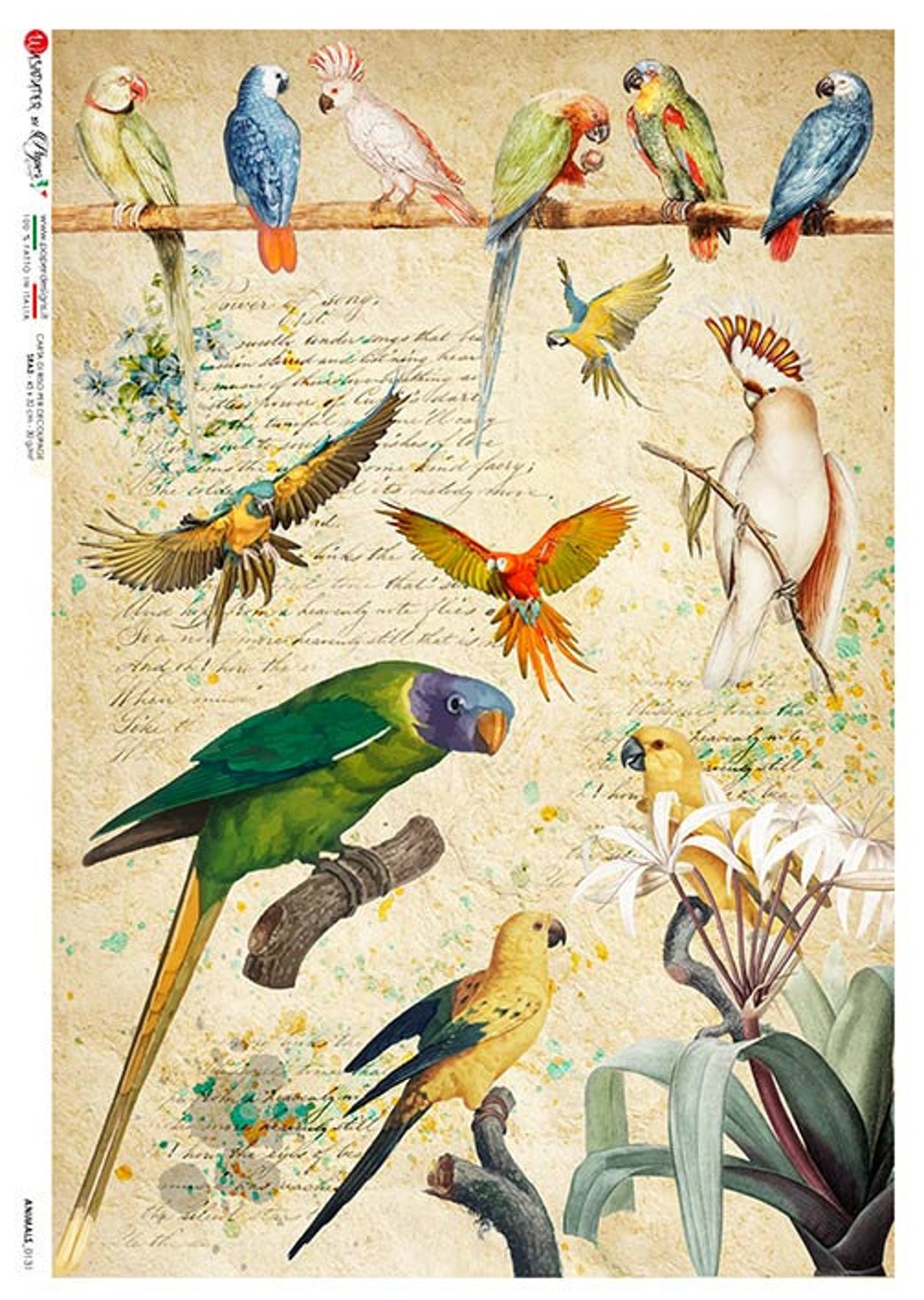 Paper Designs Rice Paper | Birds Rice Paper | A4 Rice Paper | Natural ...