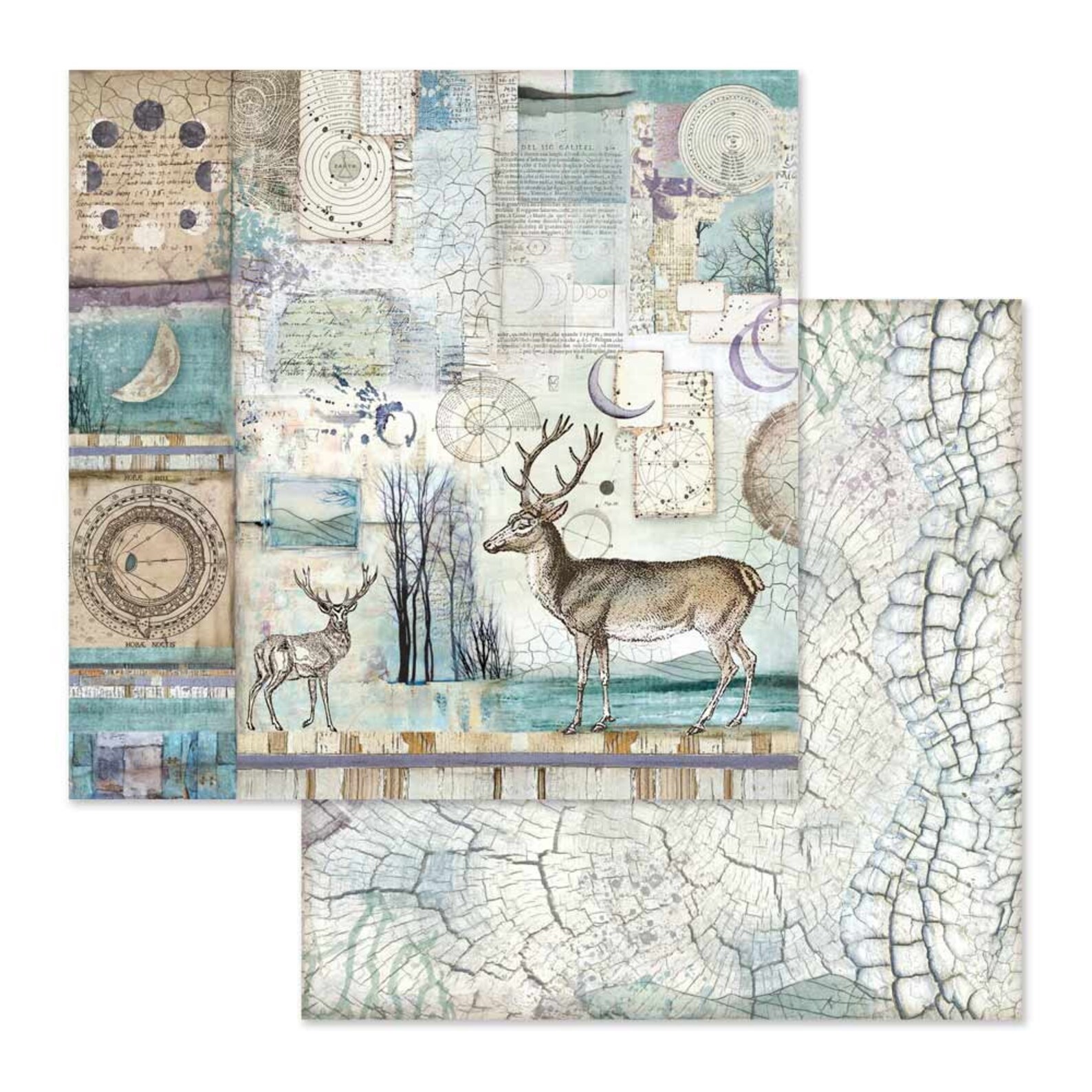 Stamperia Cosmos Collection 12x12 Scrapbooking Paper Double | Etsy