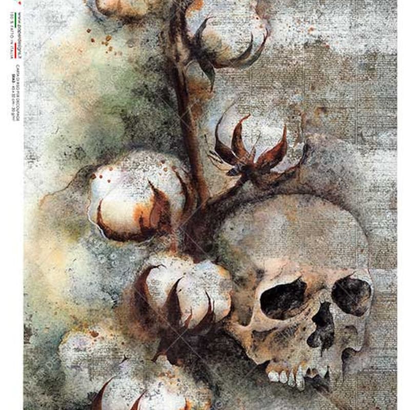 Skull Decoupage - Etsy