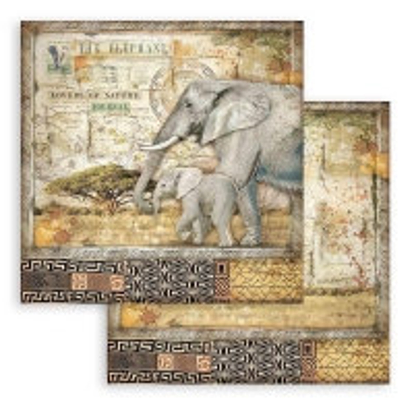 Stamperia SAVANA Collection 6x6 Scrapbooking Paper Double - Etsy