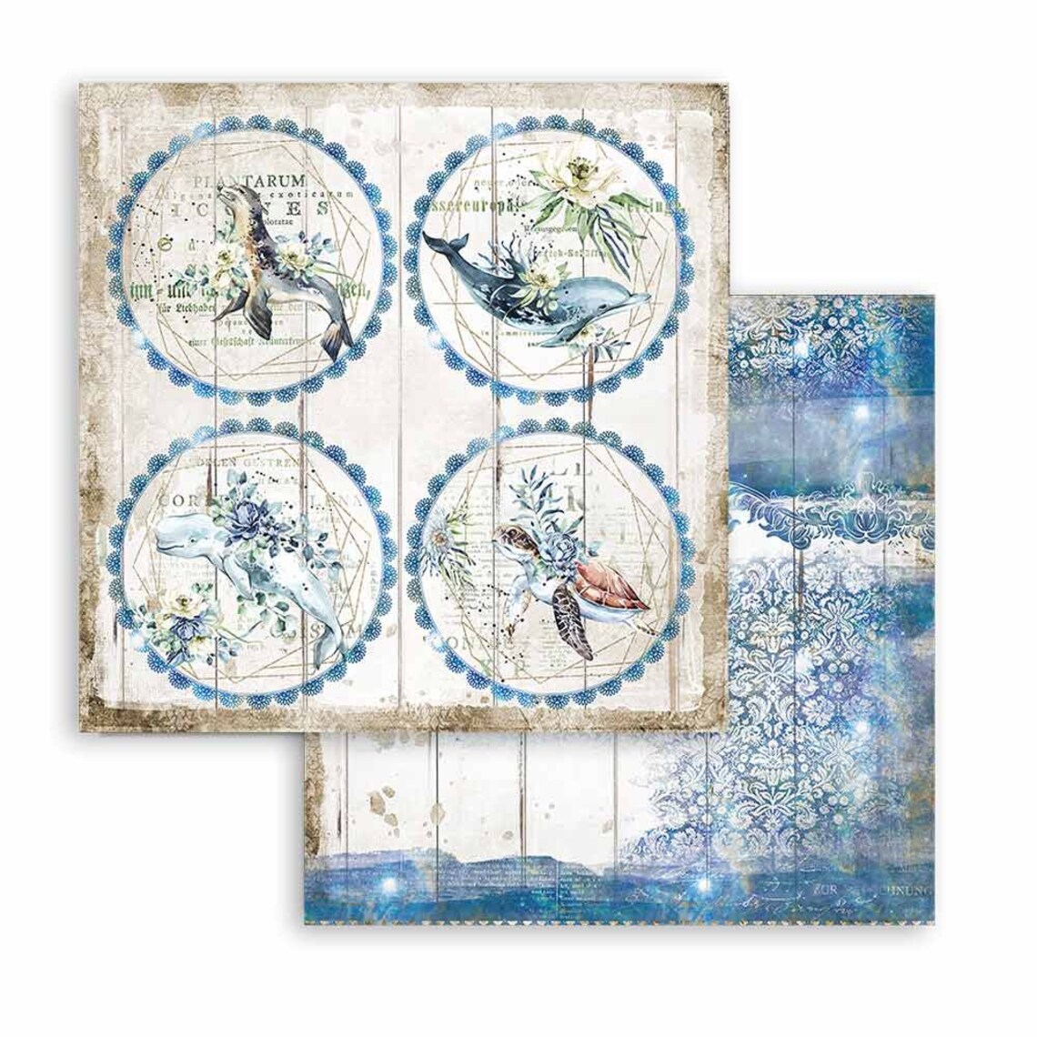 Stamperia Romantic Sea Dream Collection 8x8 Scrapbooking | Etsy Stamperia Romantic Sea Dream Collection 8x8 Scrapbooking | Etsy