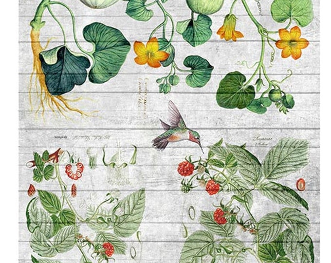 Paper Designs Rice Paper Vintage Vegetables A4 Rice Paper Natural Paper ...