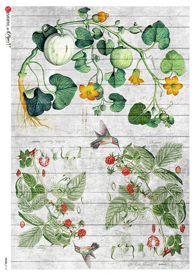 Paper Designs Rice Paper | Vintage Vegetables | A4 Rice Paper | Natural ...