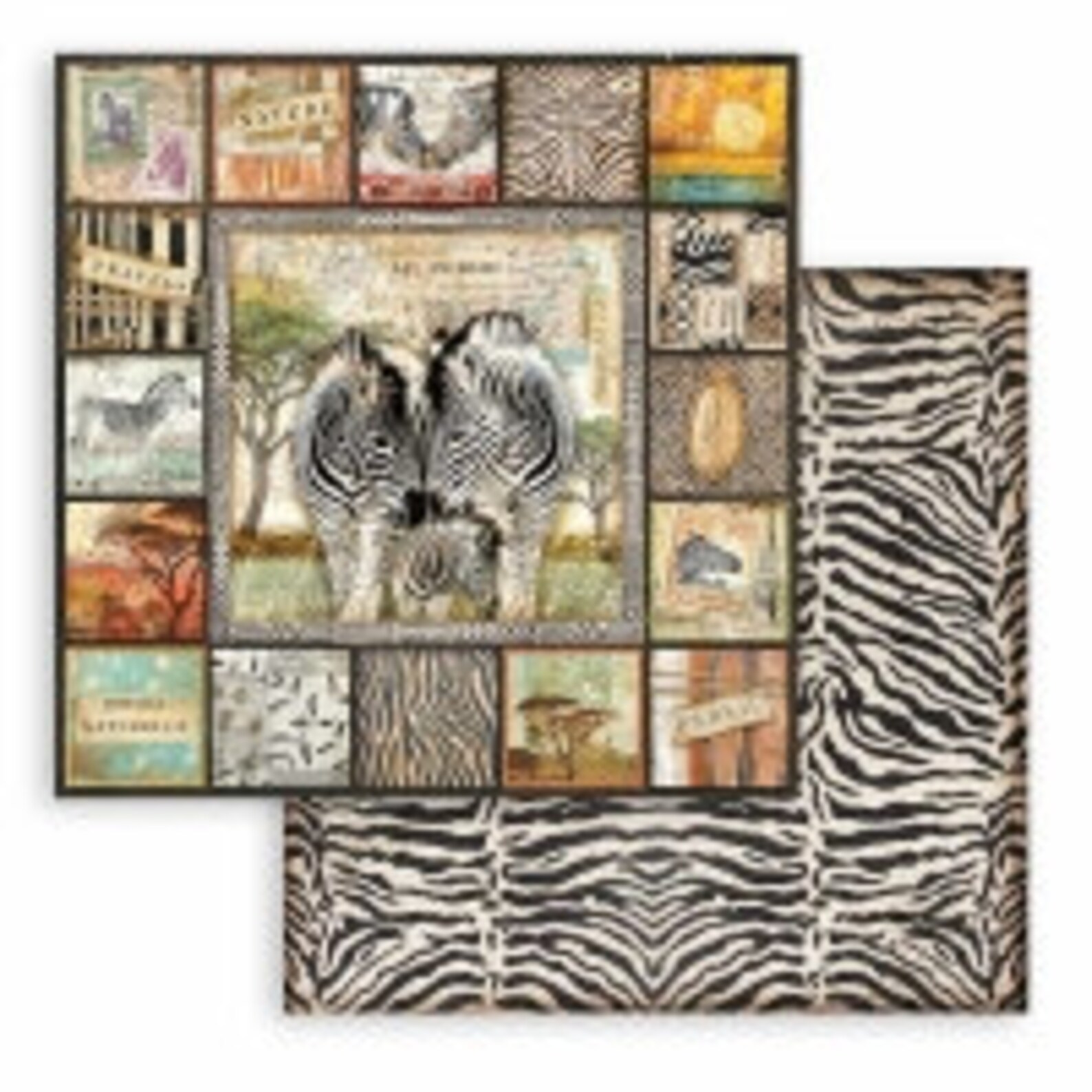 Stamperia SAVANA Collection 6x6 Scrapbooking Paper Double - Etsy