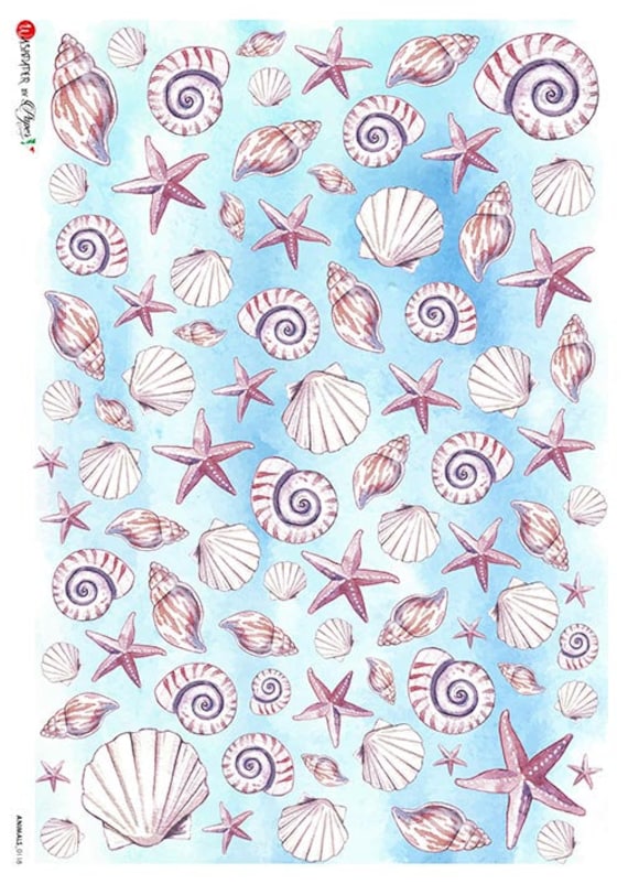 Paper Designs Rice Paper Sea Shells Rice Paper A4 Rice | Etsy