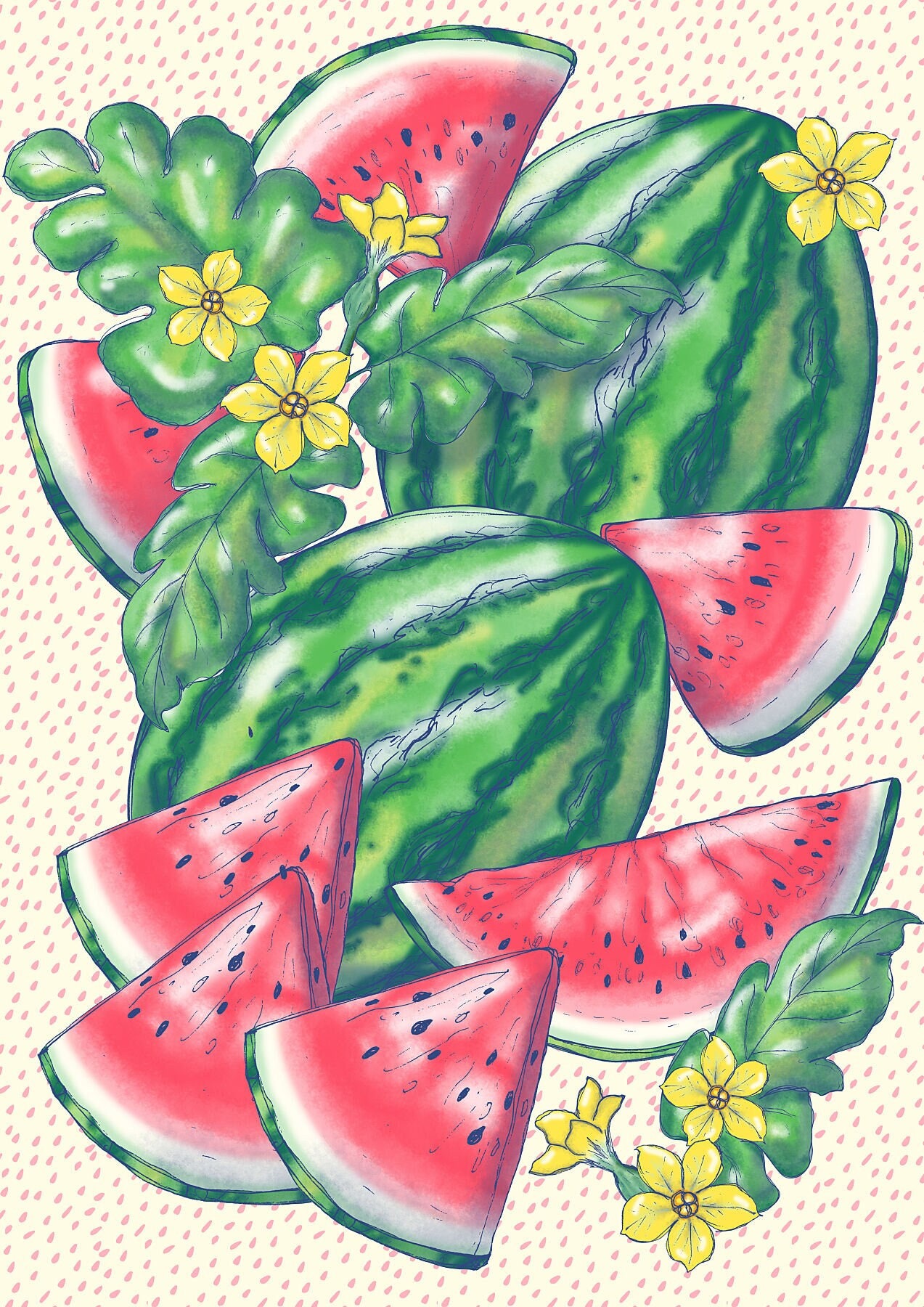 Watermelon Wonder Art Print Unframed A4 A3 A2 Hand-drawn Fruit Dining ...