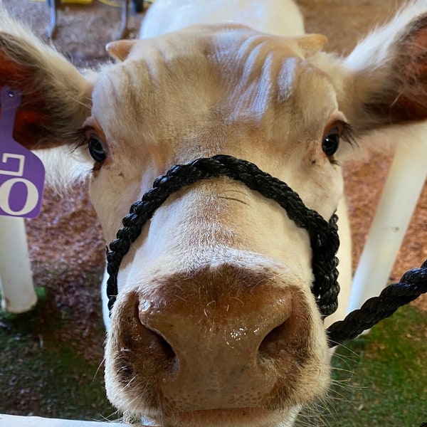 Cattle Tags - Etsy