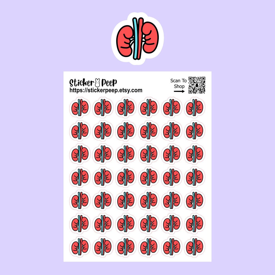 1/2" Kidney Organ Dialysis Medical Planner Stickers - Glossy Sticker ...