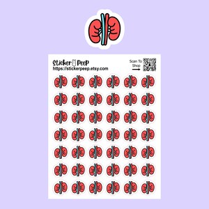 1/2" Kidney Organ Dialysis Medical Planner Stickers - Glossy Sticker ...