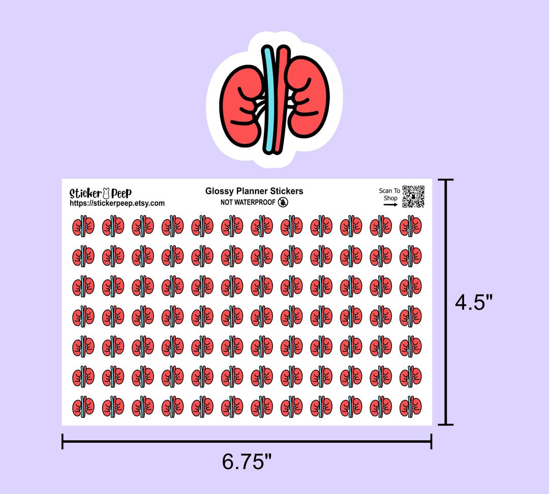 1/2 Kidney Organ Dialysis Medical Planner Stickers Glossy Sticker Paper ...