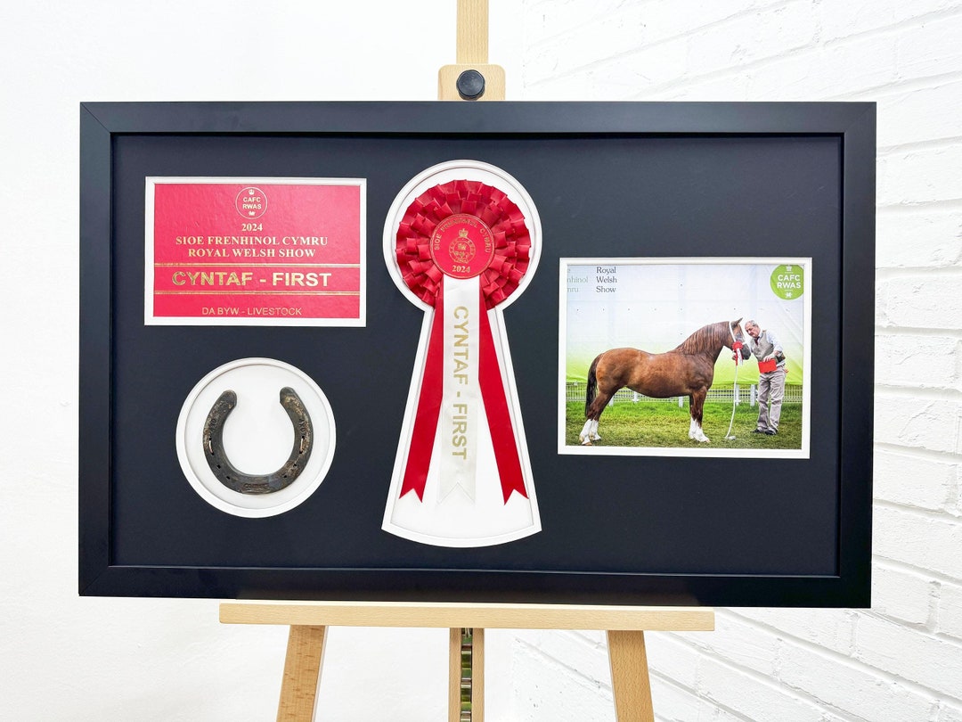 Horse Rosette Frame, 3D Display With Horseshoe Photo (32 X 22 Inches ...