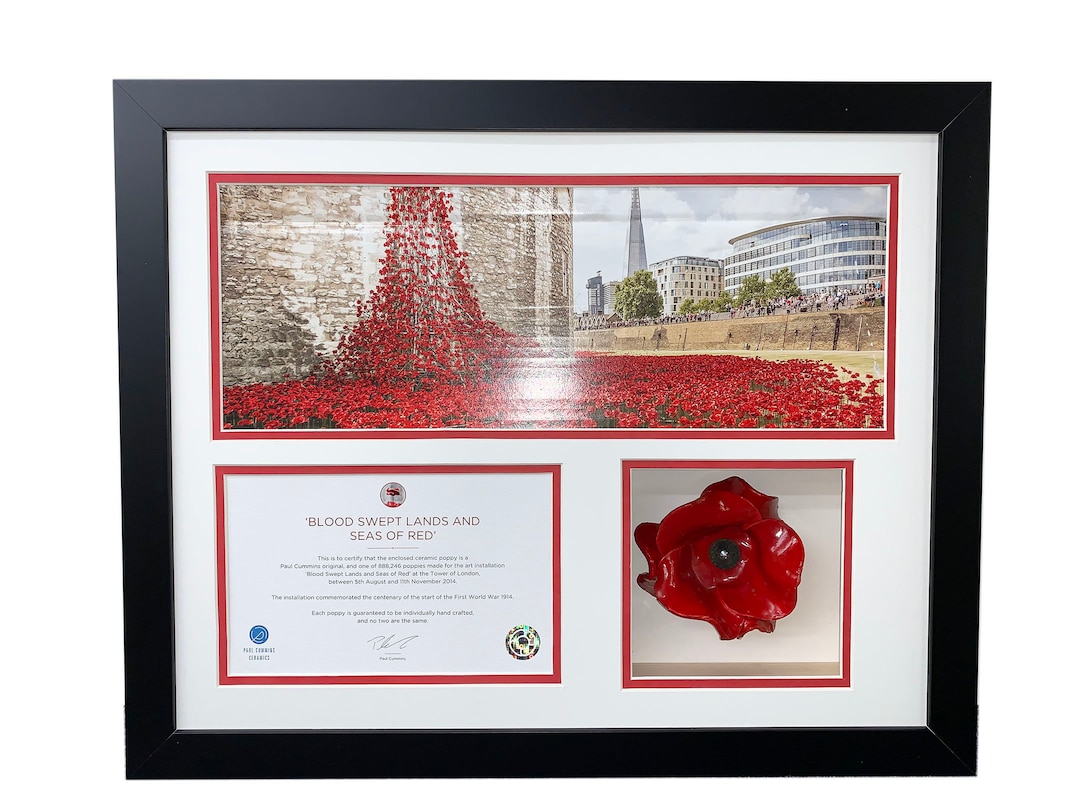 Poppy Display 3D Box Frame for Tower of London in Black Frame With ...
