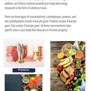 Calculating Your Macronutrients 101 Guide - Etsy