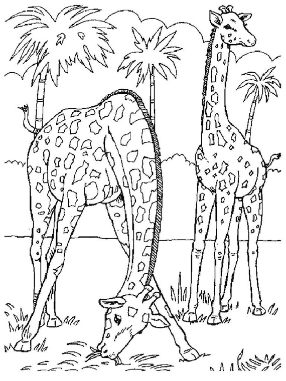 Grassland Coloring Pages