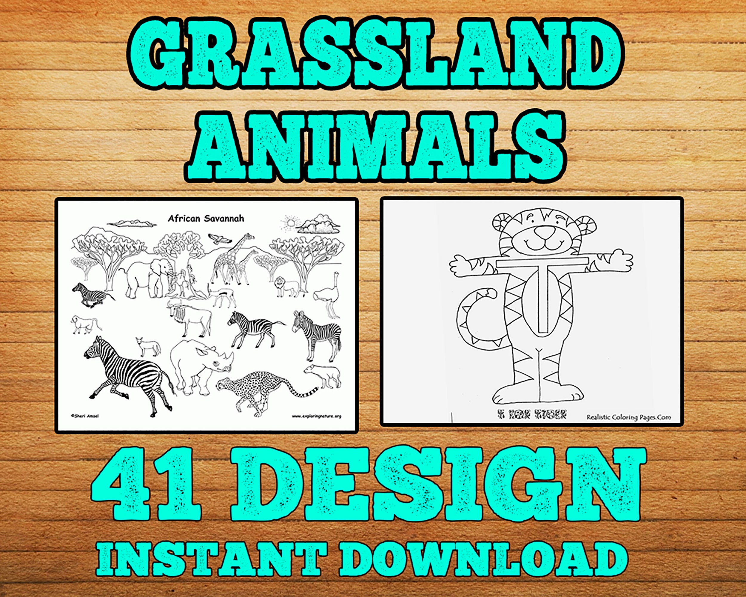 African Grassland Coloring Pages