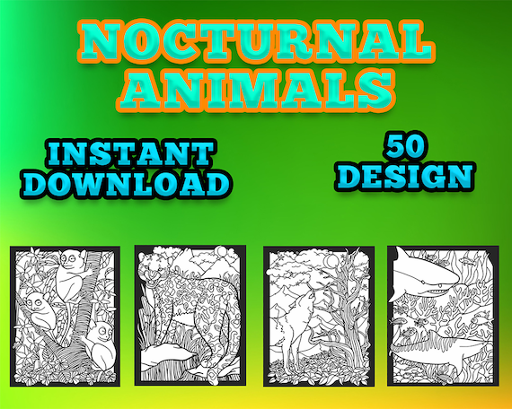 Coloring Pages Nocturnal Animals