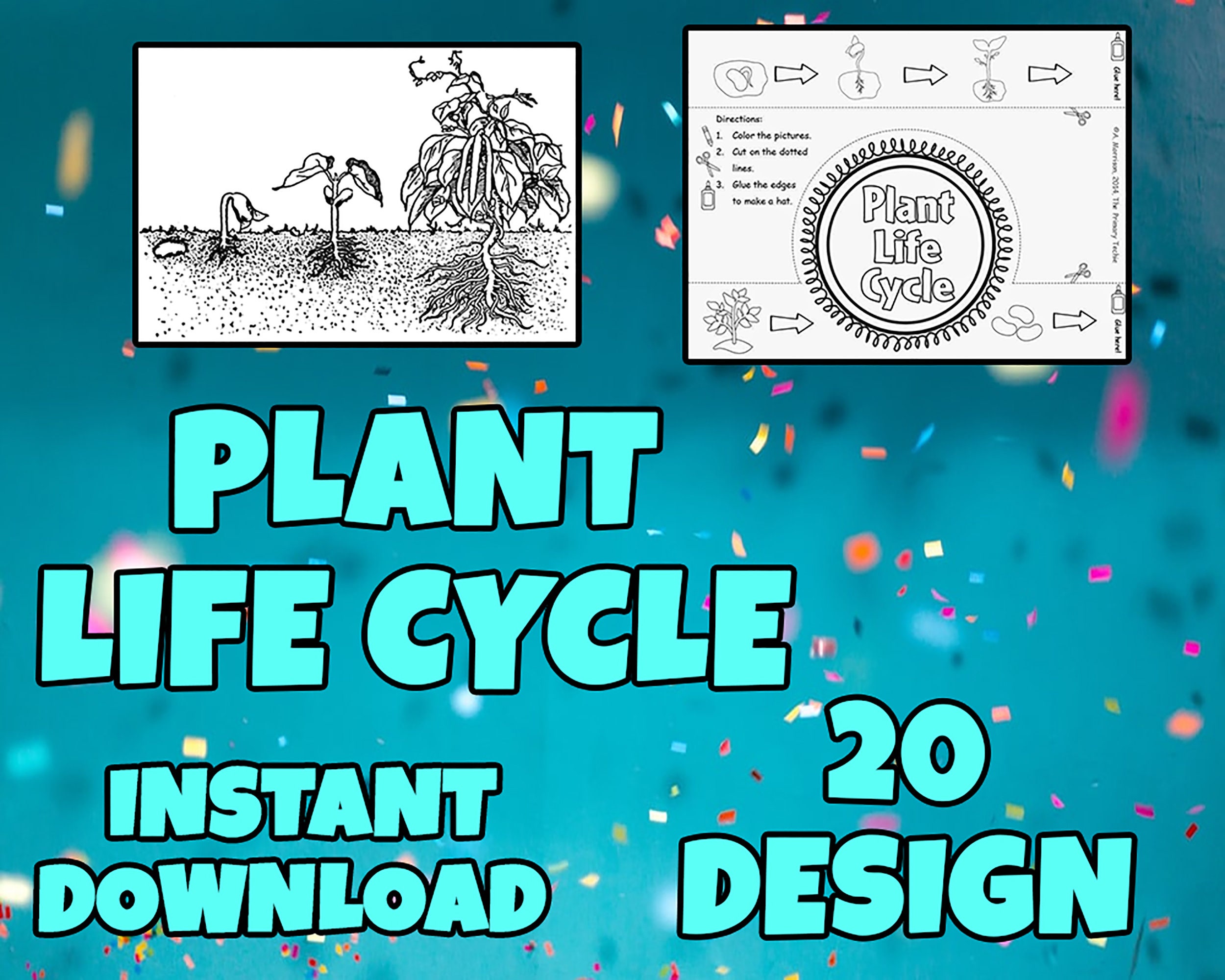 Plant Life Cycle Coloring Page