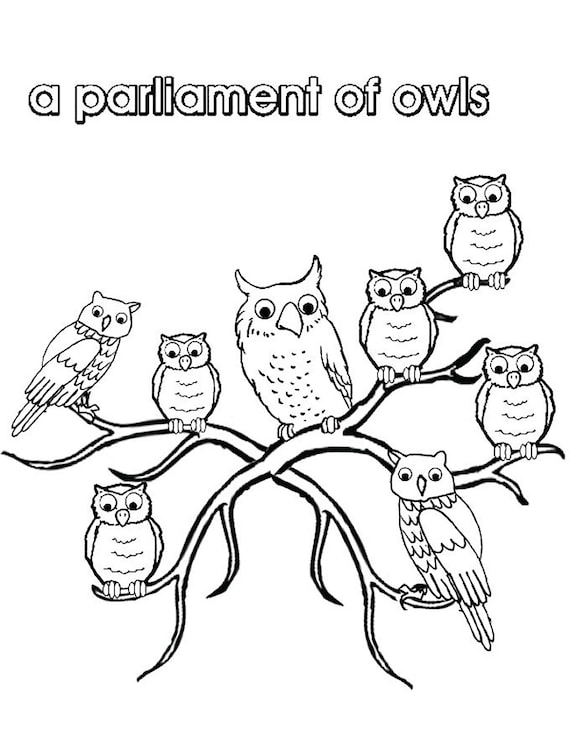 Coloring Pages Nocturnal Animals