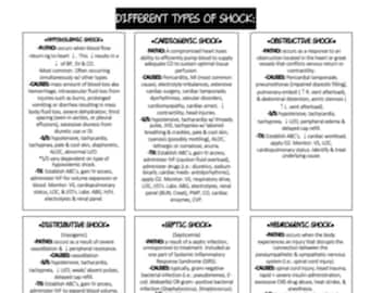 The NREMT Study Guide the Perfect Study Guide for EMT School - Etsy