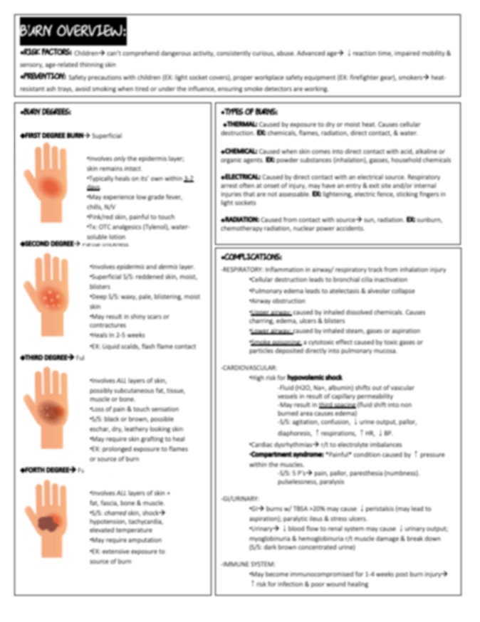 Burn Overview Study Guide - Etsy