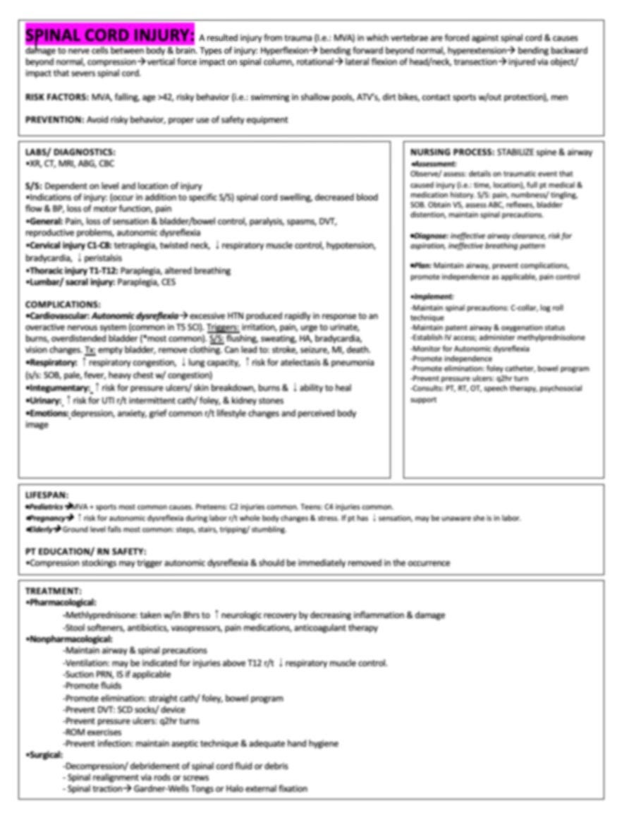 Spinal Cord Injury Study Sheet - Etsy