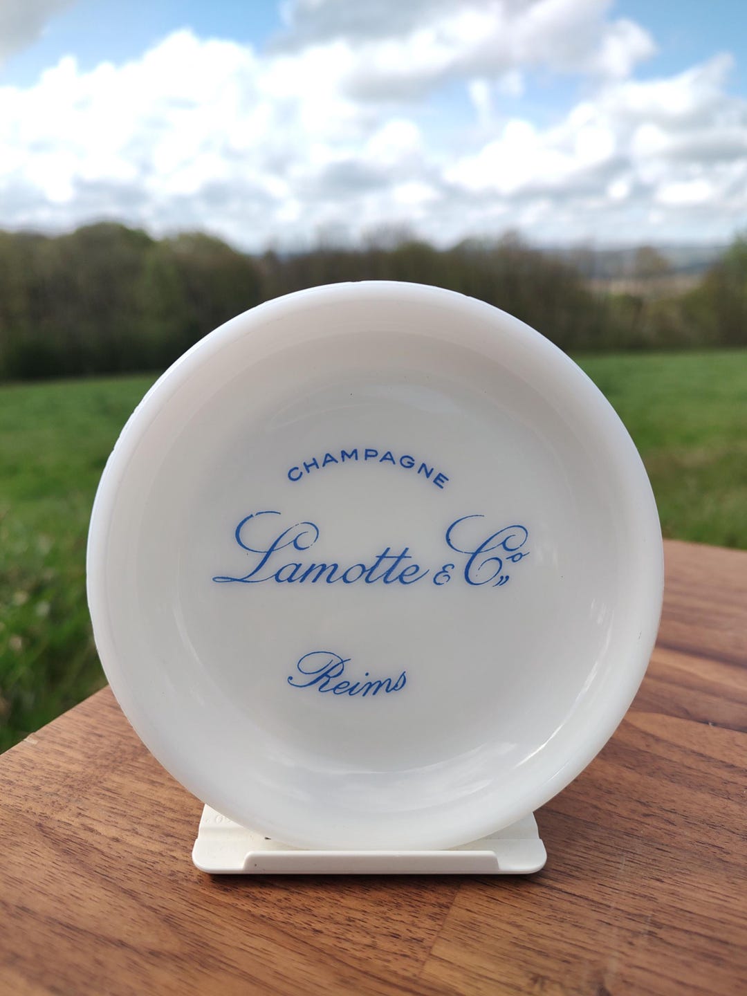 French Champagne Plate - Etsy