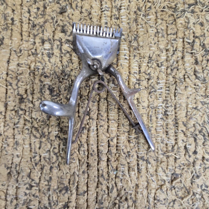 Antique Hair Clipper - Etsy
