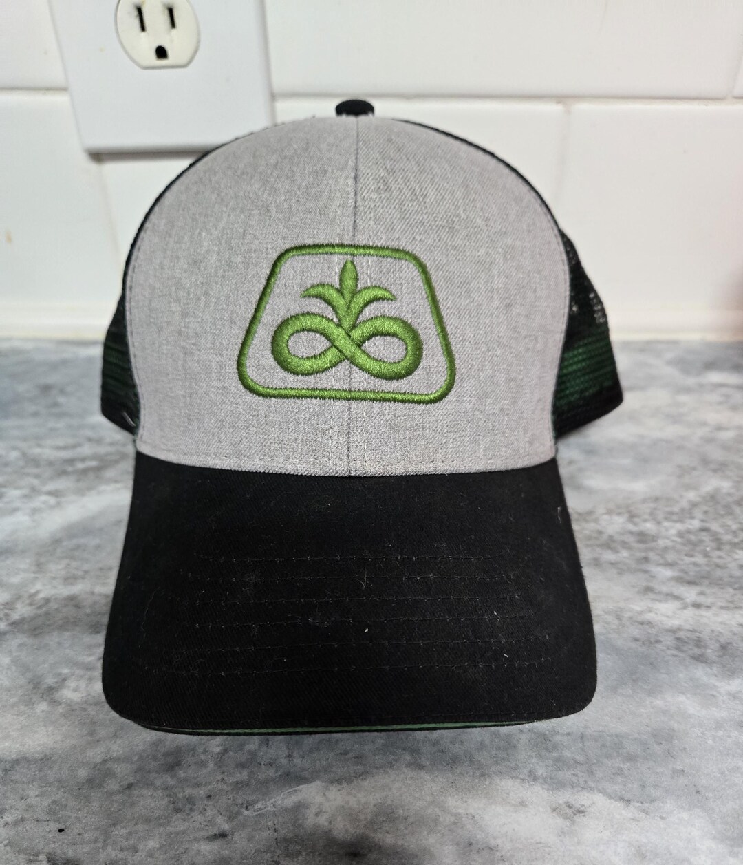 Vtg Black and Gray Pioneer Seed Logo Trucker Farmer Cap - Etsy