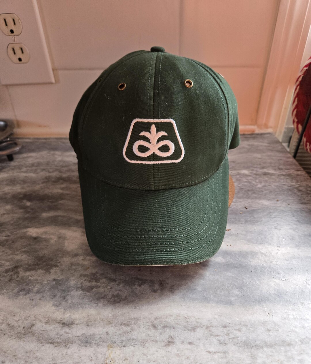 Vtg Pioneer Seed Logo Cap Hat - Etsy
