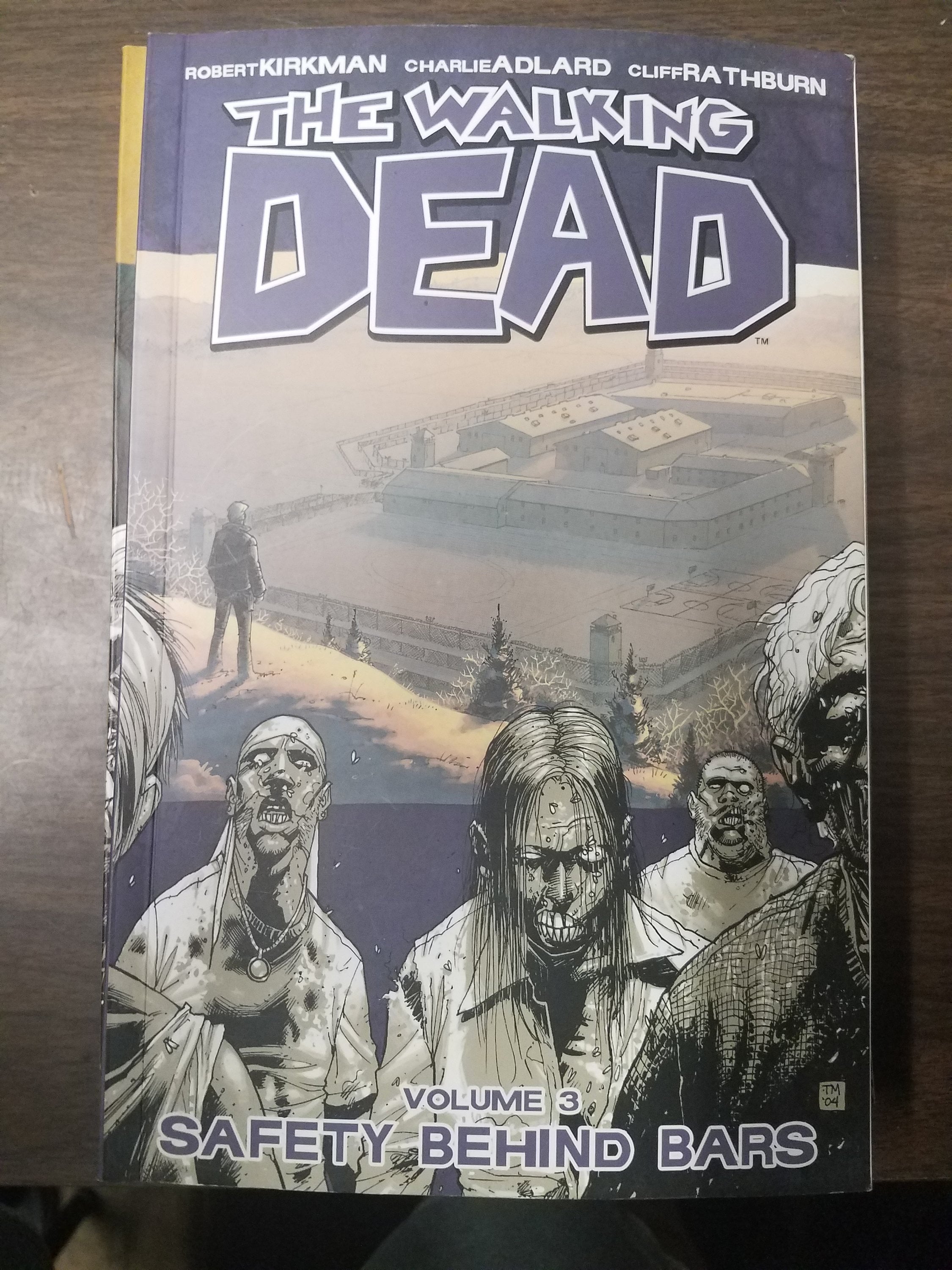 The Walking Dead Graphic Comic Volumes1-10 Excellent Condition - Etsy