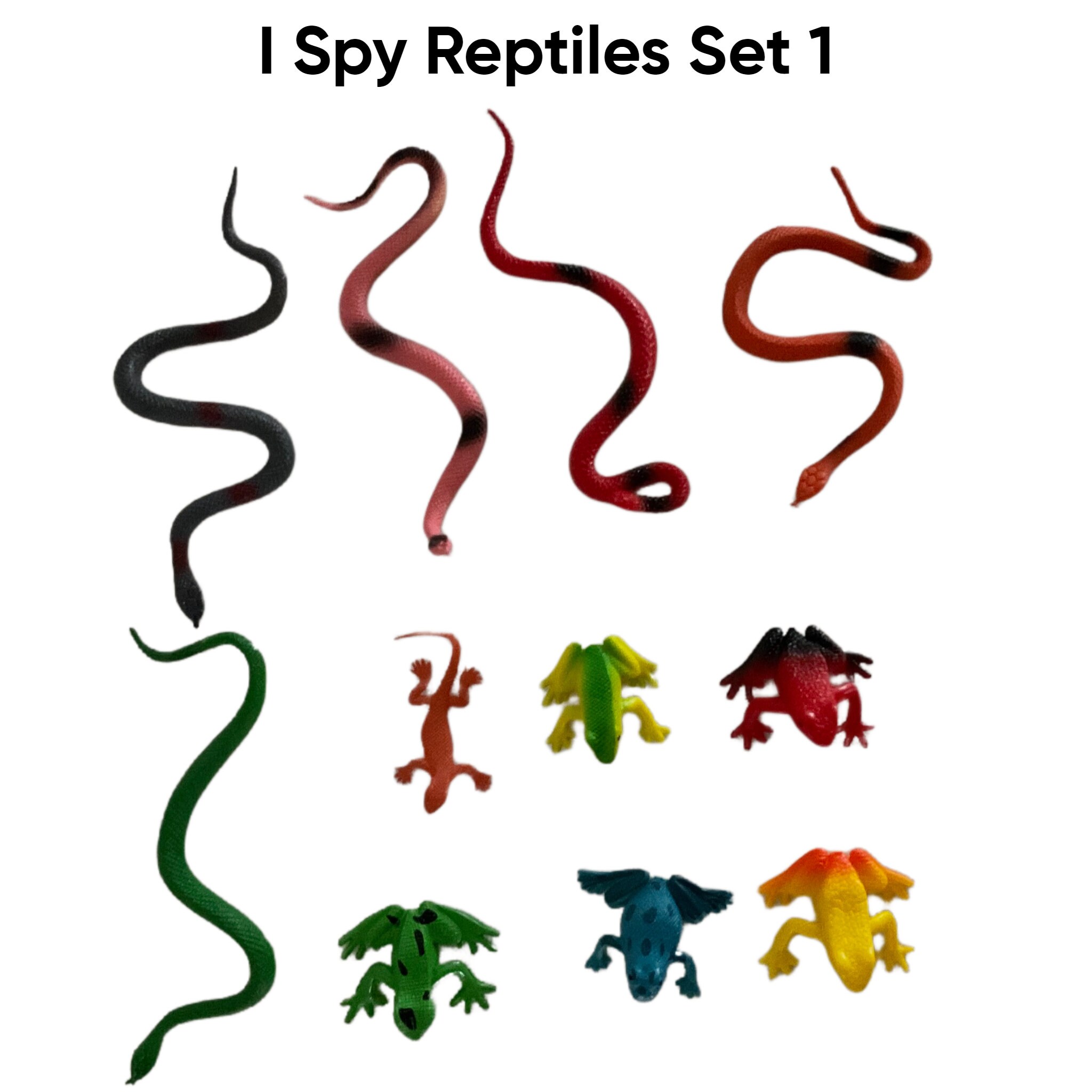 I Spy Buddy, I Spy Bag, Discovery Bag, Colours Shapes Recognition, Bugs ...