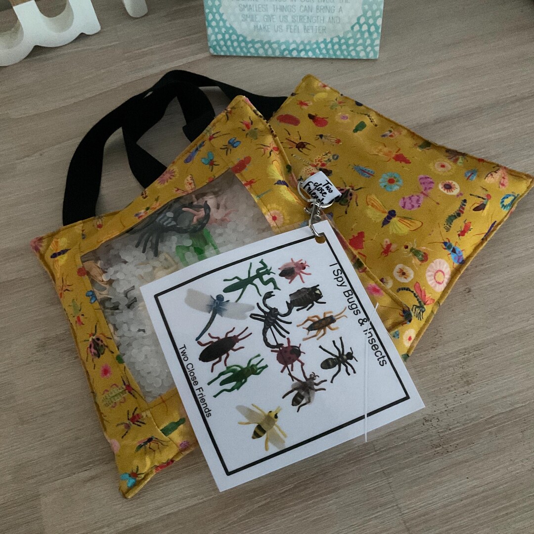 I Spy Buddy, I Spy Bag, Discovery Bag, Bugs Insects - Etsy