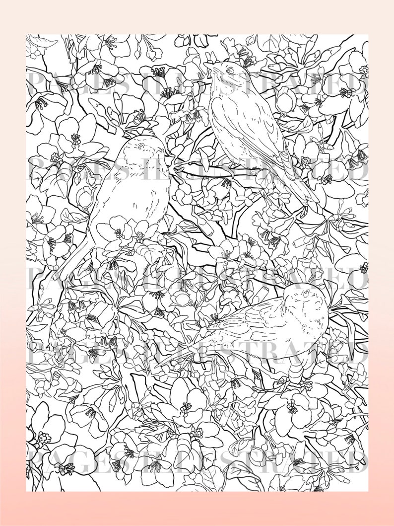 Spring Birds Coloring Page | Printable & Digital With iPad or Tablet ...