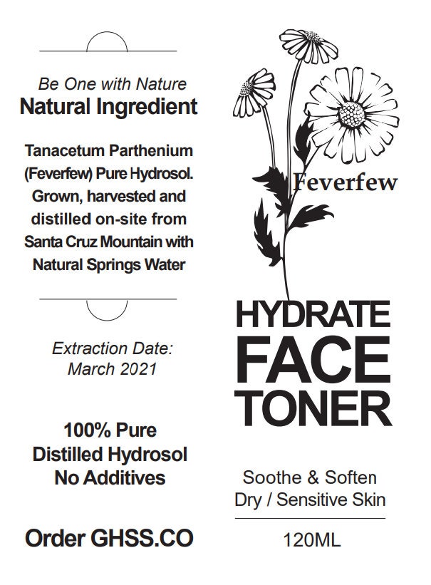 Feverfew Floral Natural Handmade Face Toner Lotion Skincare - Etsy UK