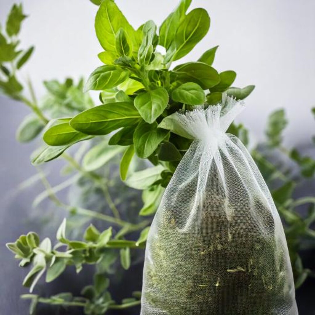 Pure Oregano Herbal Sachets (bag of 2) - Etsy