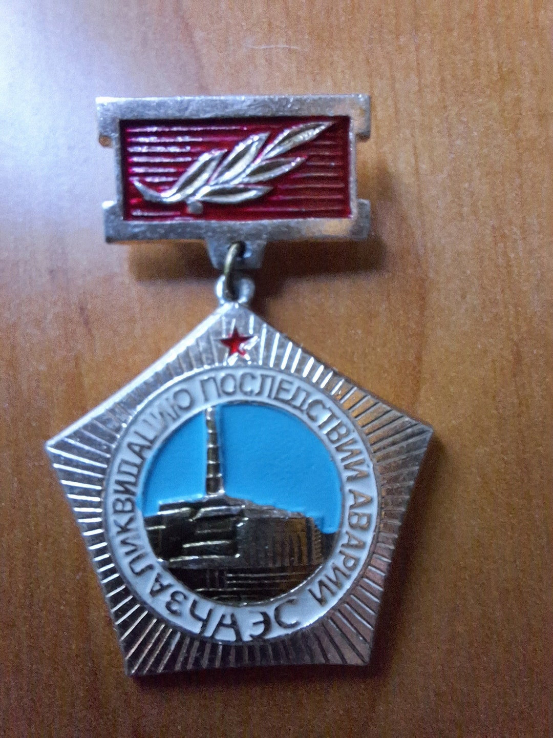 Chernobyl Liquidator Pin, Participation in Chernobyl Accident ...