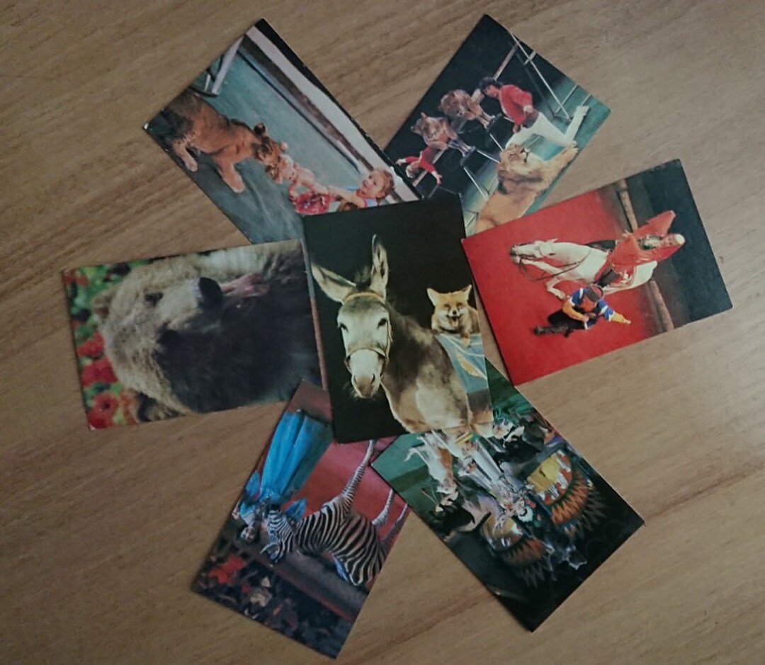 Soviet Circus Calendars, Russian Circus, Vintage Soviet Pocket ...